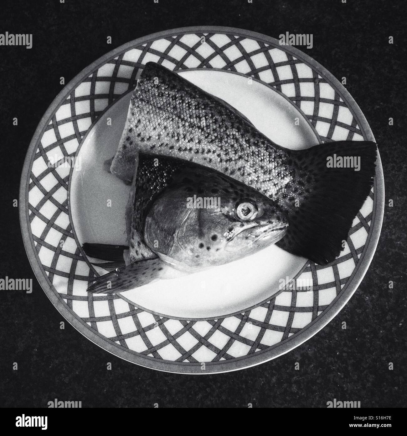 Fish head black and white hi-res stock photography and images - Alamy
