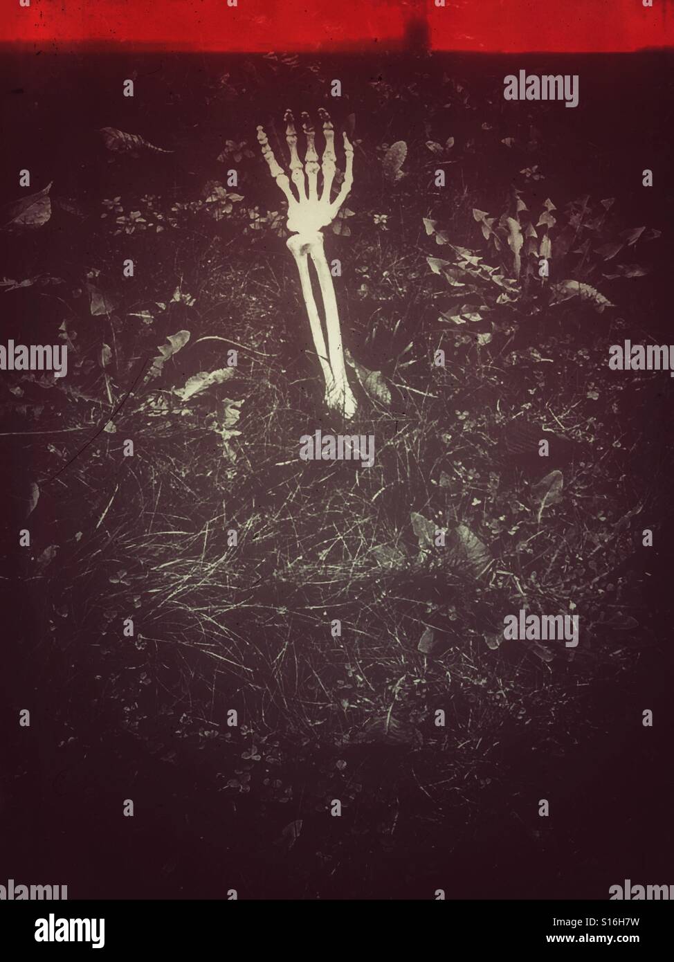 Human hand and arm bones sticking out from the soil Stock Photo - Alamy