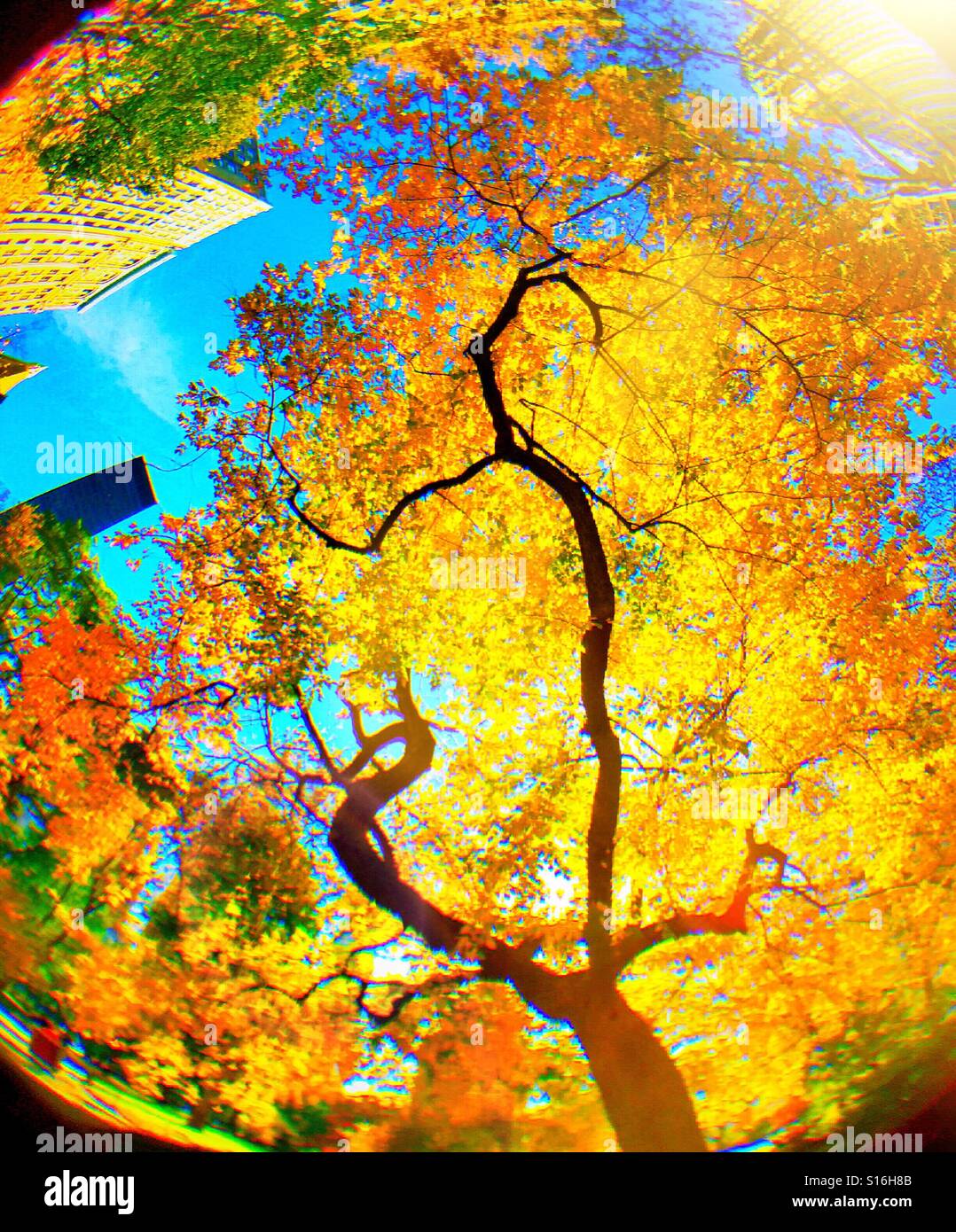 Northeastern united states hi-res stock photography and images - Alamy