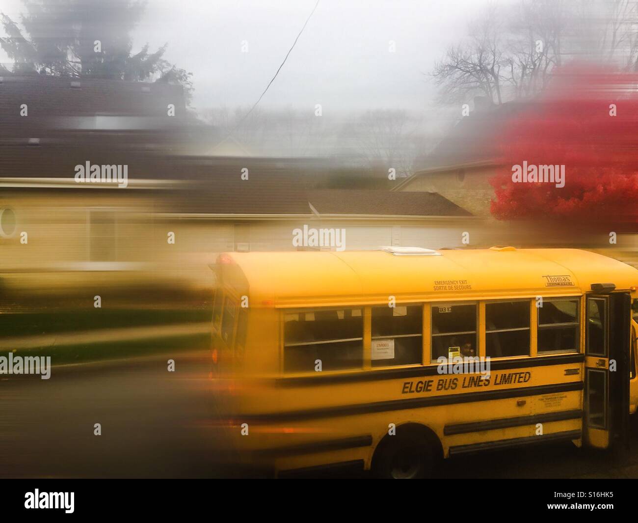 School bus foggy day Stock Photo - Alamy