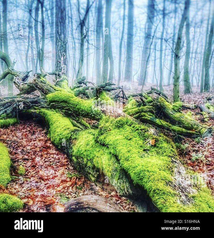 Male karpaty hi-res stock photography and images - Alamy