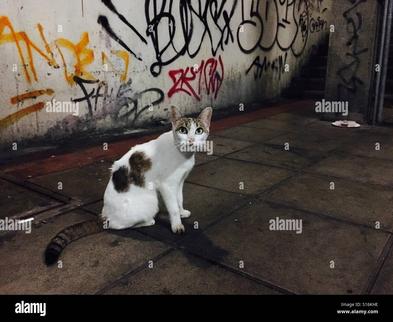 Urban curiosity hi-res stock photography and images - Alamy