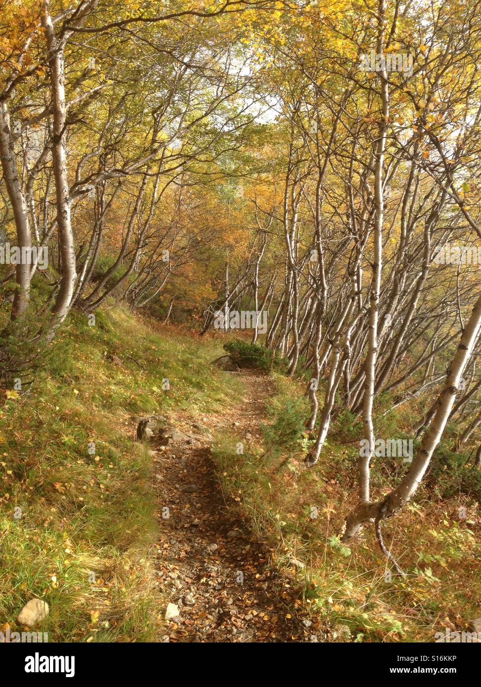 Just follow the path Stock Photo - Alamy