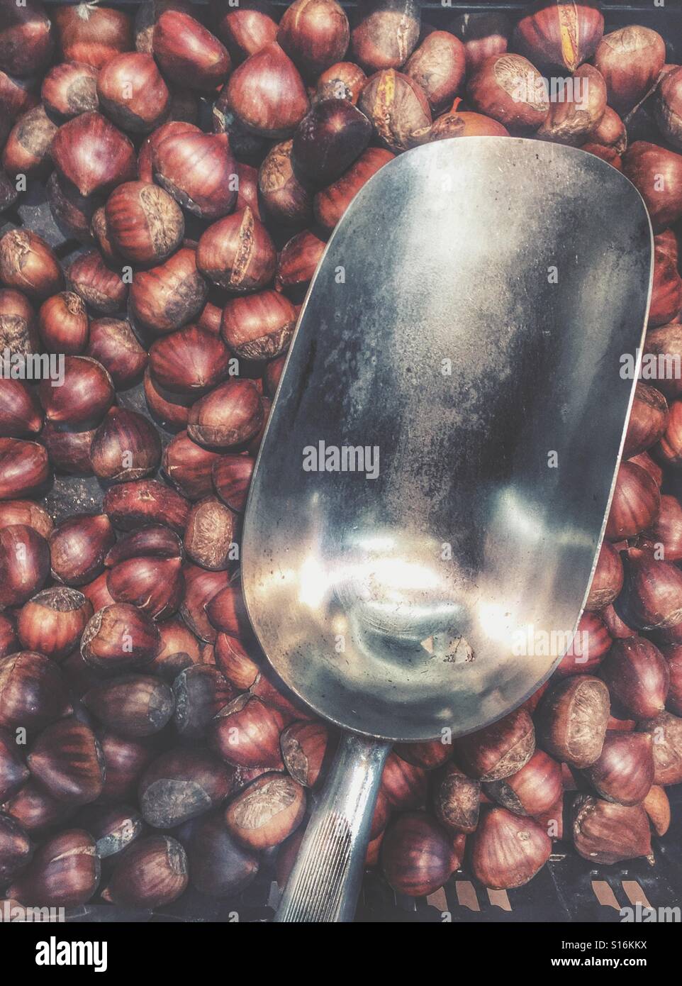 Oil chestnut hi-res stock photography and images - Alamy