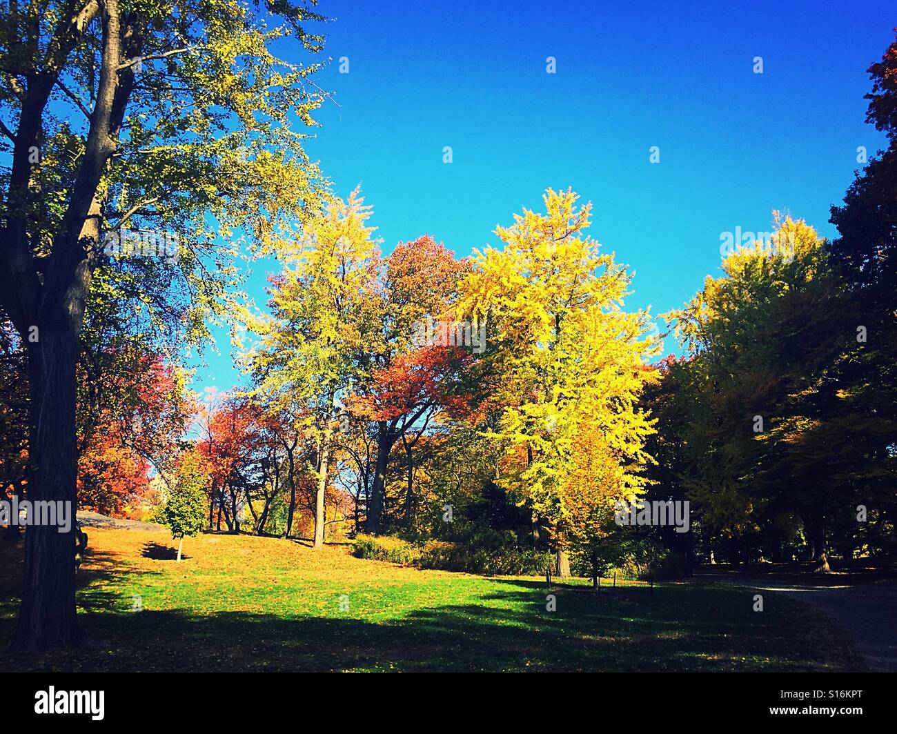 Fall Foliage in the northeastern United States Stock Photo - Alamy