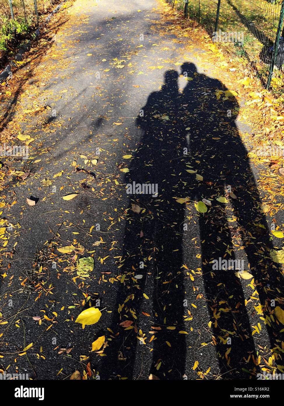 Romantic shadow of a couple on a pathway in central park in the fall ...