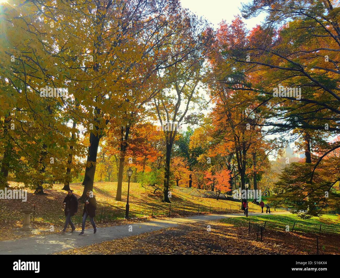 Fall foliage welcomes visitors in central park along a pathway, NYC ...