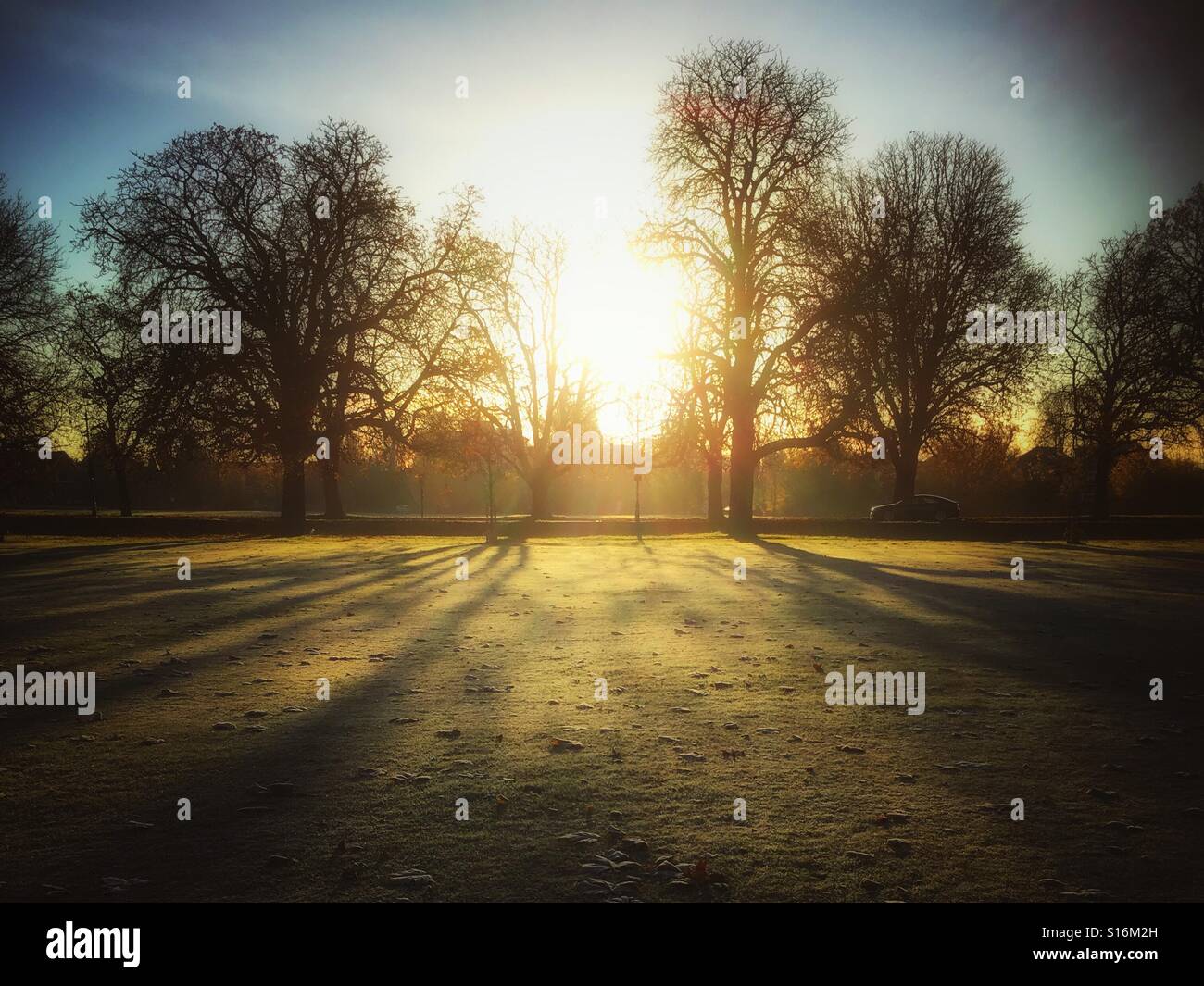 Strong morning sun hi-res stock photography and images - Alamy