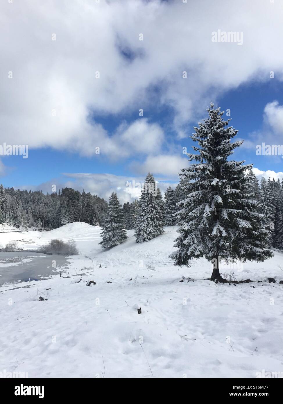 Switzerland christmas snow hi-res stock photography and images - Alamy