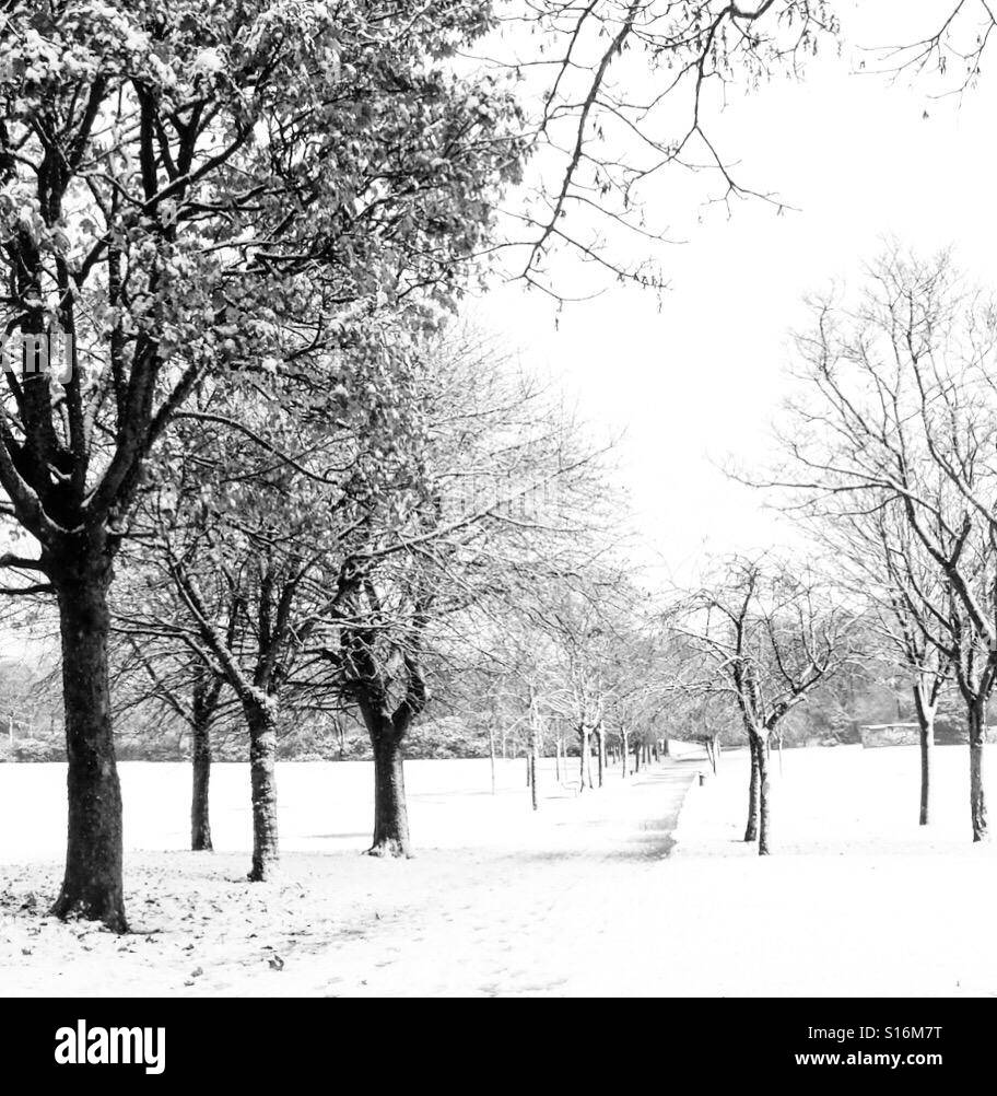 Snowy winter scene Stock Photo - Alamy