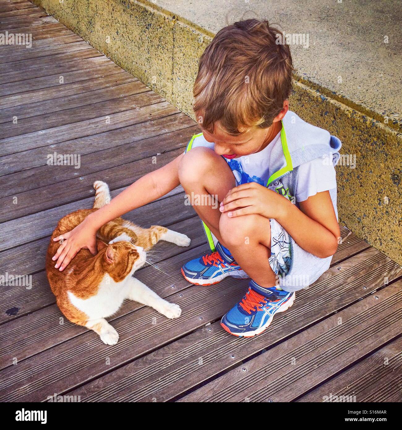 Boy pats a cat Stock Photo - Alamy