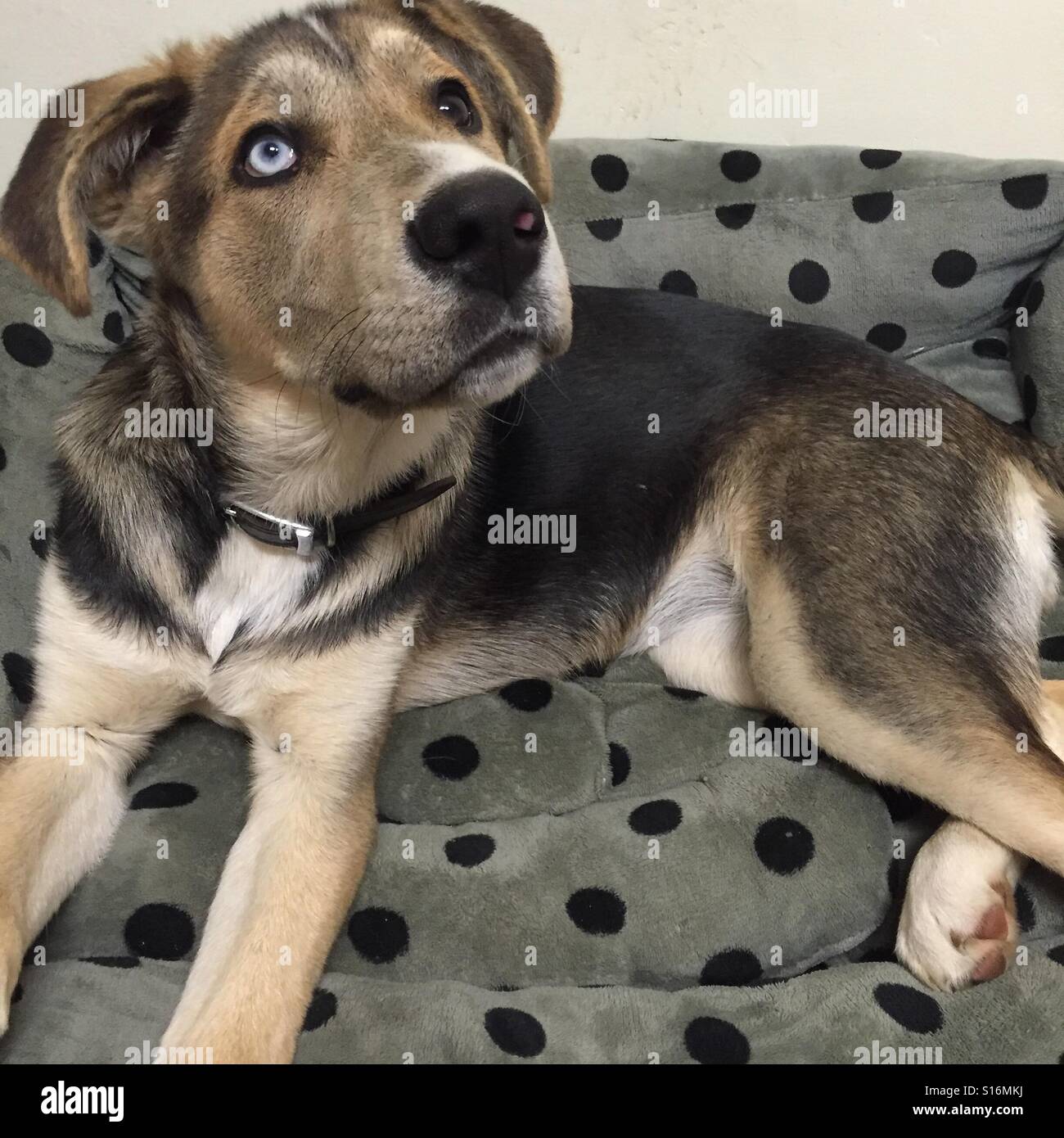 You mean me mum hi-res stock photography and images - Alamy