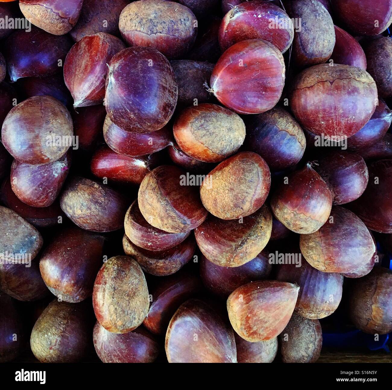 Chestnuts in their shells Stock Photo - Alamy