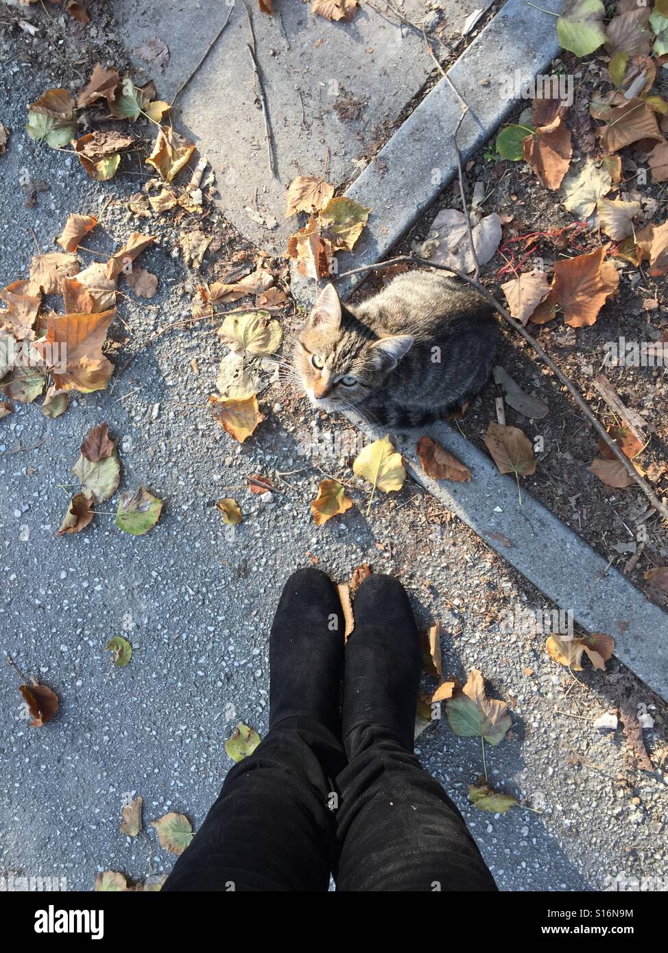 Autmn hi-res stock photography and images - Alamy