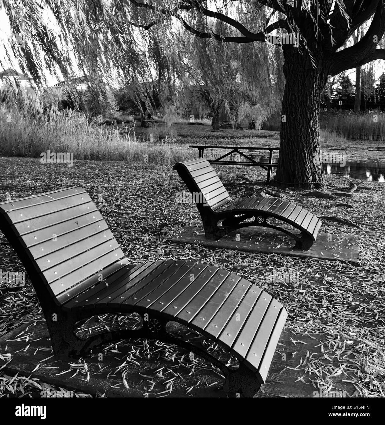 Park bench benches hi-res stock photography and images - Alamy