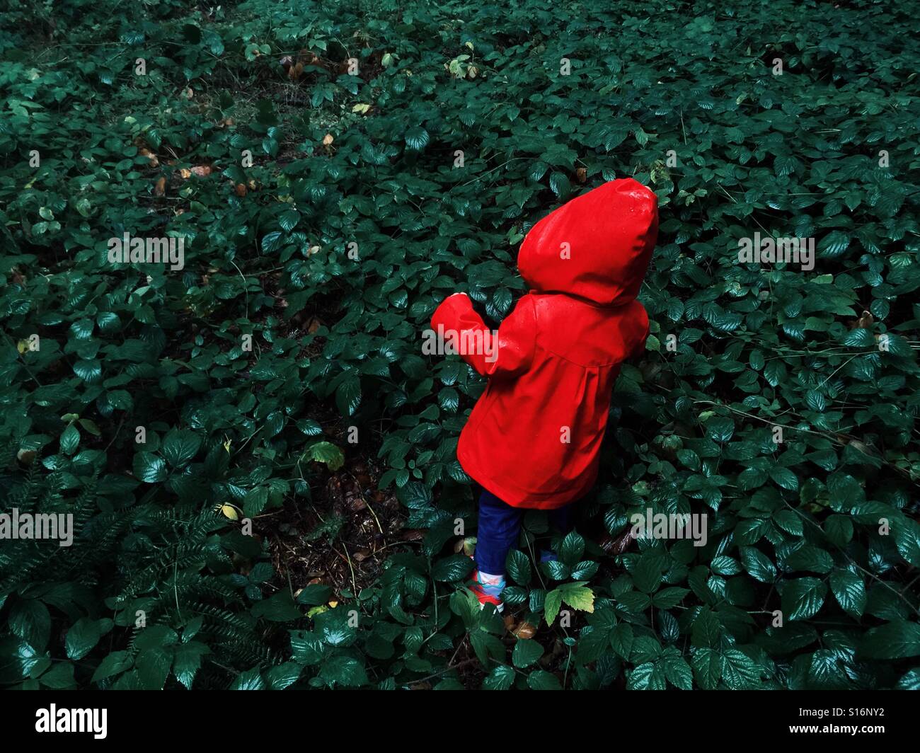 Child exploring outside hi-res stock photography and images - Alamy