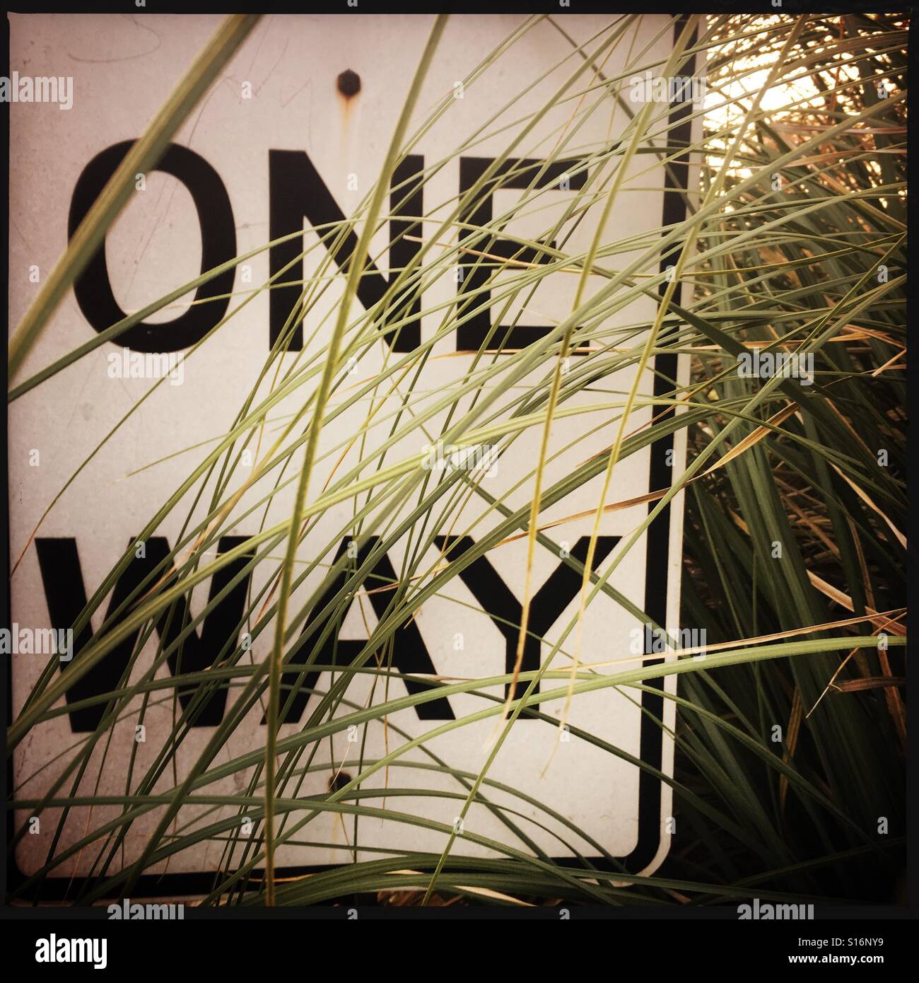Grass in front of sign hi-res stock photography and images - Alamy
