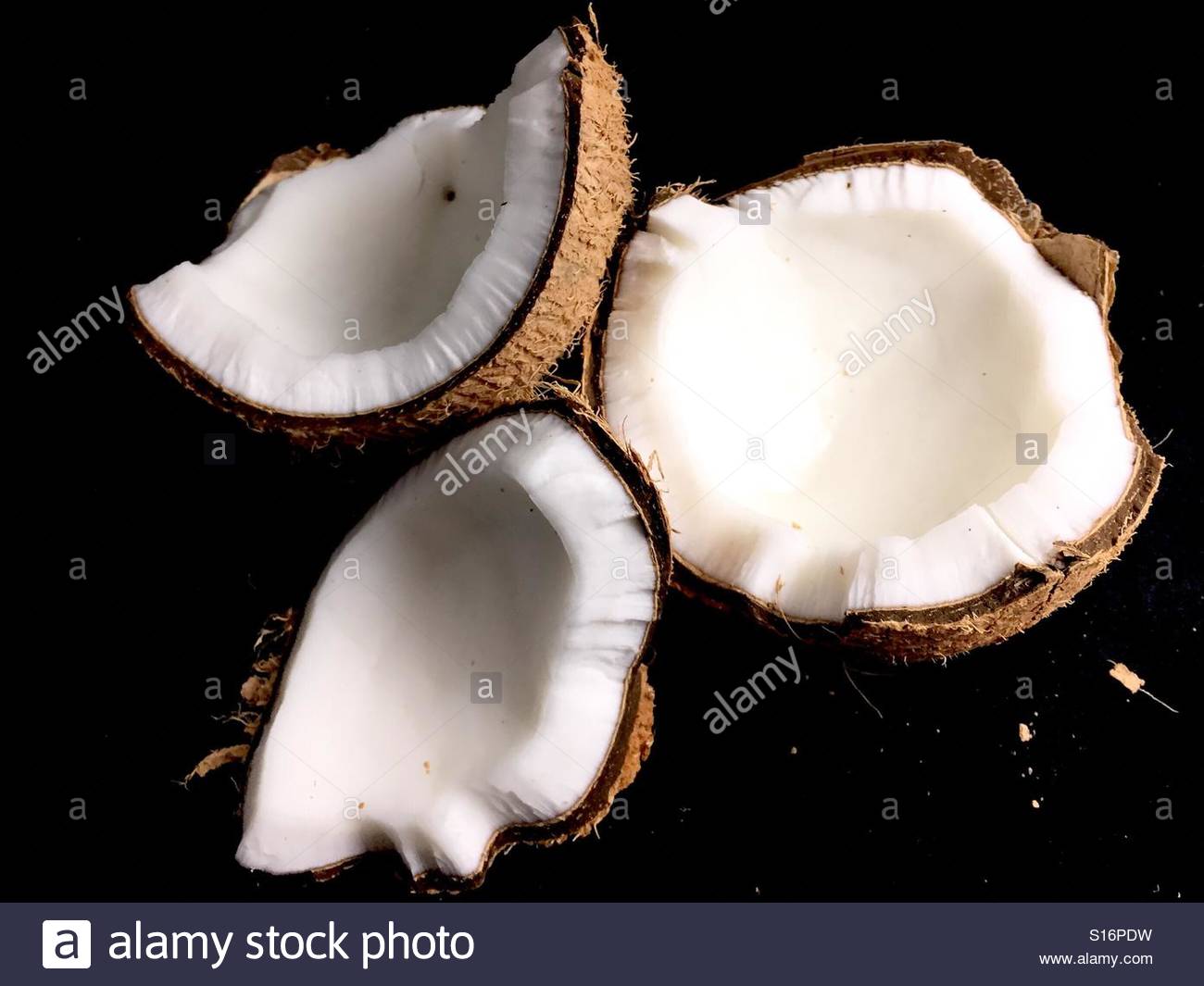 Coco Stock Photos & Coco Stock Images - Alamy