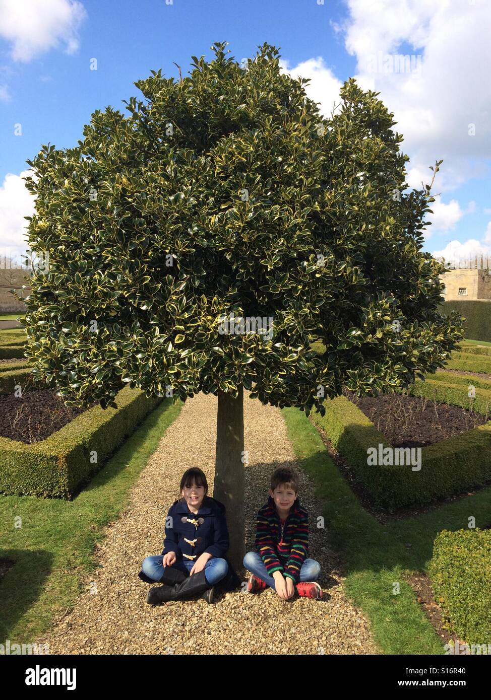 Under the tree Stock Photo - Alamy