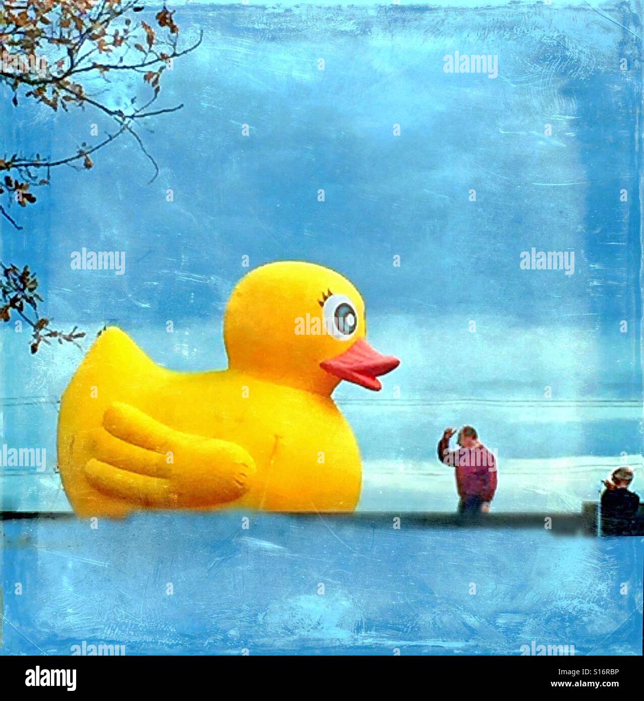 Hard working duck! Hard working deco-duck Stock Photo - Alamy