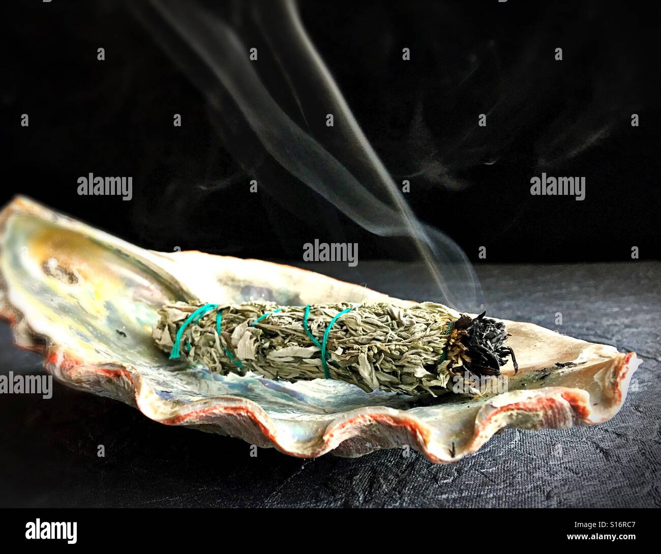 A stick and a shell hi-res stock photography and images - Alamy