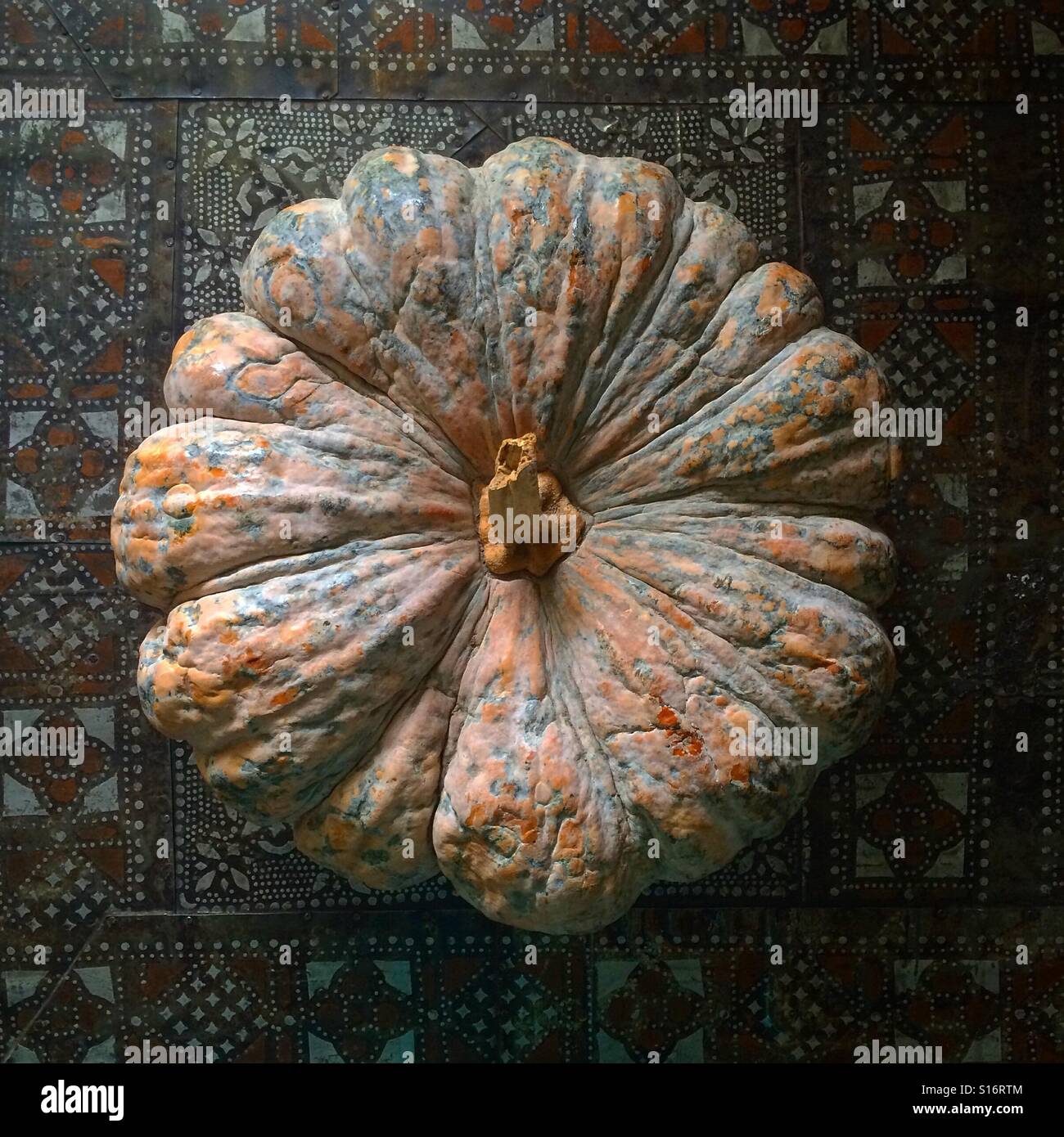 Pumpkin on an old metal coffer Stock Photo - Alamy