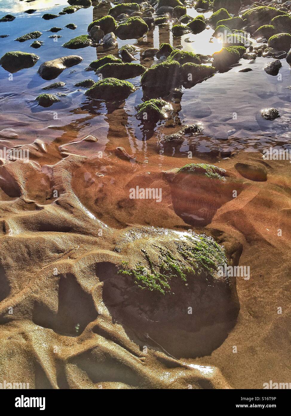 Puddle on sand Stock Photo - Alamy