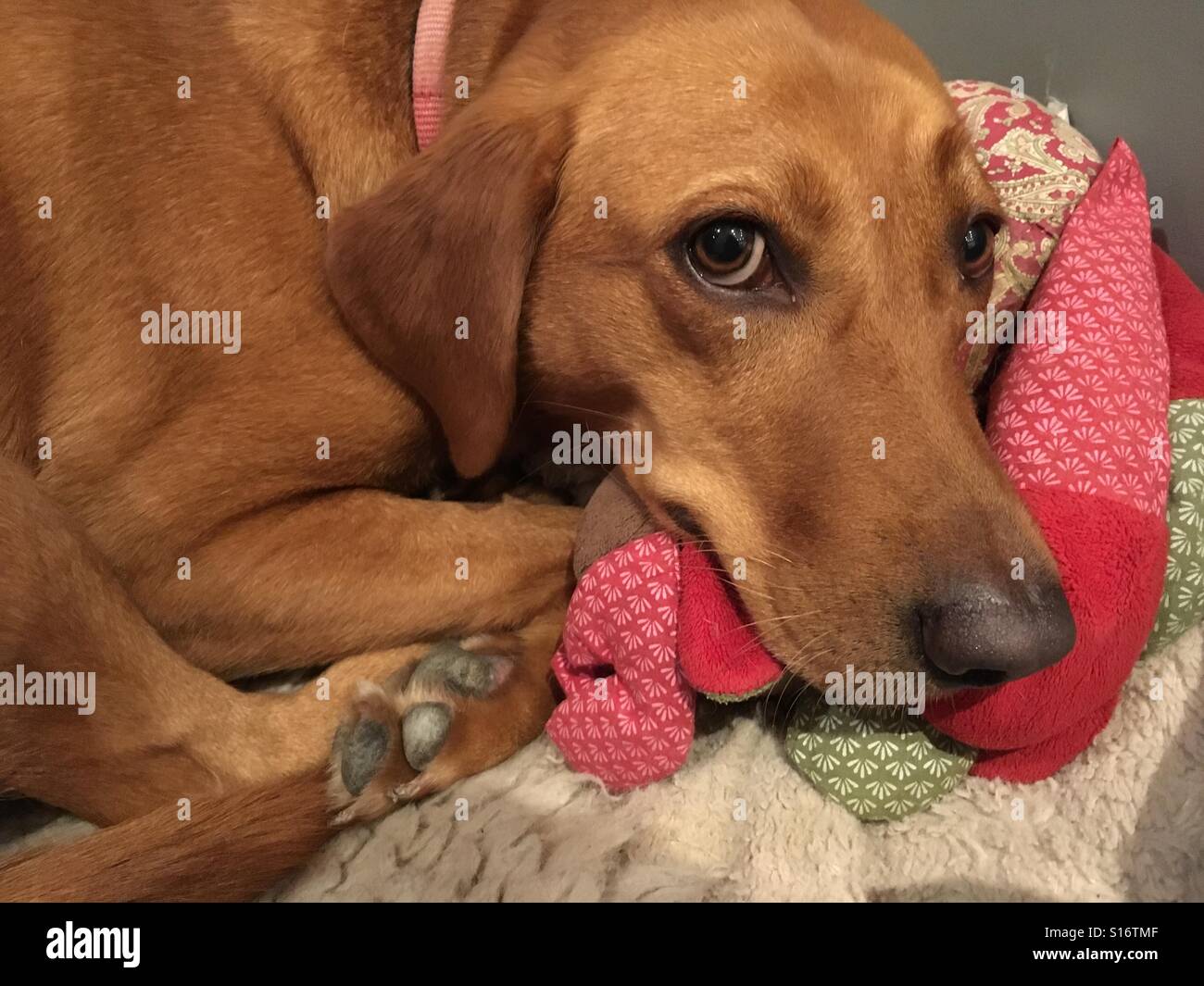 Curled forms hi-res stock photography and images - Alamy