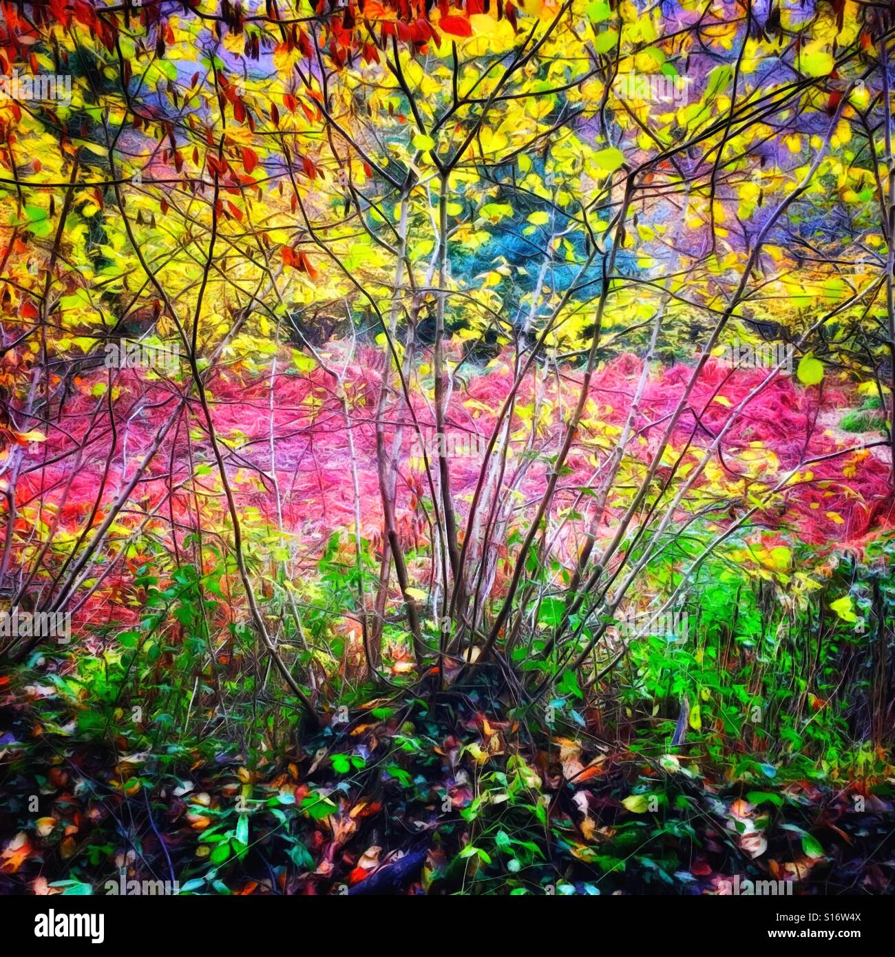 Abstract scene bursting hi-res stock photography and images - Alamy