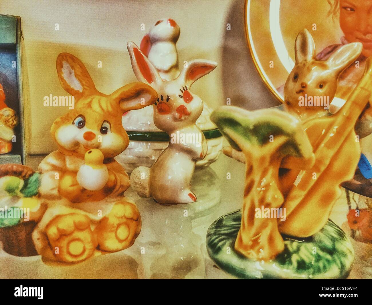 White bunnies hi-res stock photography and images - Alamy