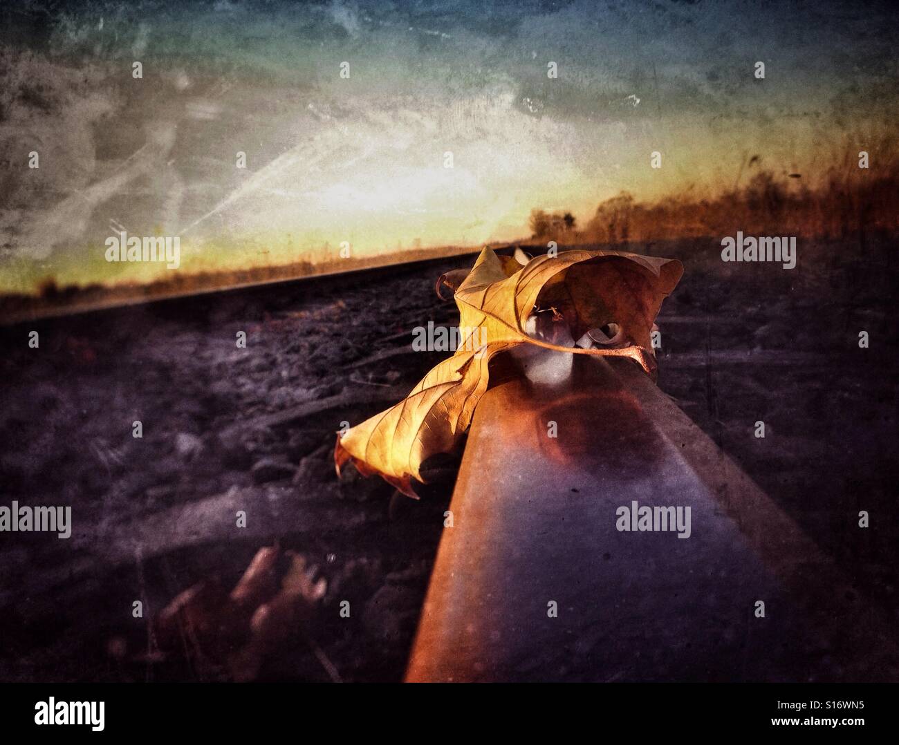 On the railroad track hi-res stock photography and images - Alamy