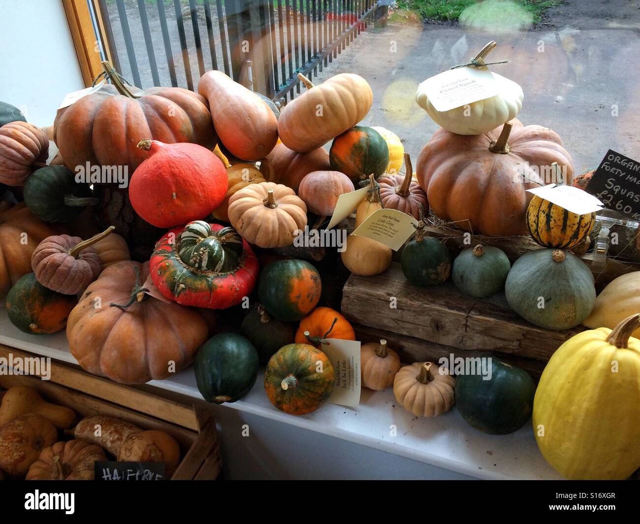 Selection of squashed and pumpkins at the farm shop Stock Photo - Alamy