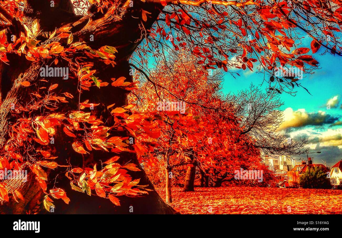 Colourful greenwich hi-res stock photography and images - Alamy