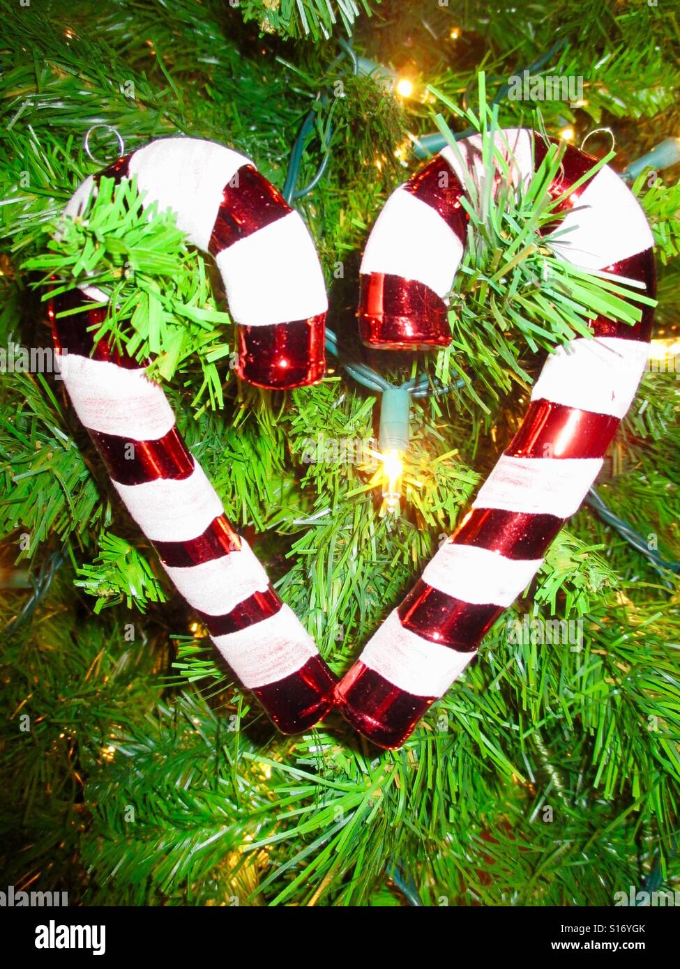 Candycane hi-res stock photography and images - Alamy