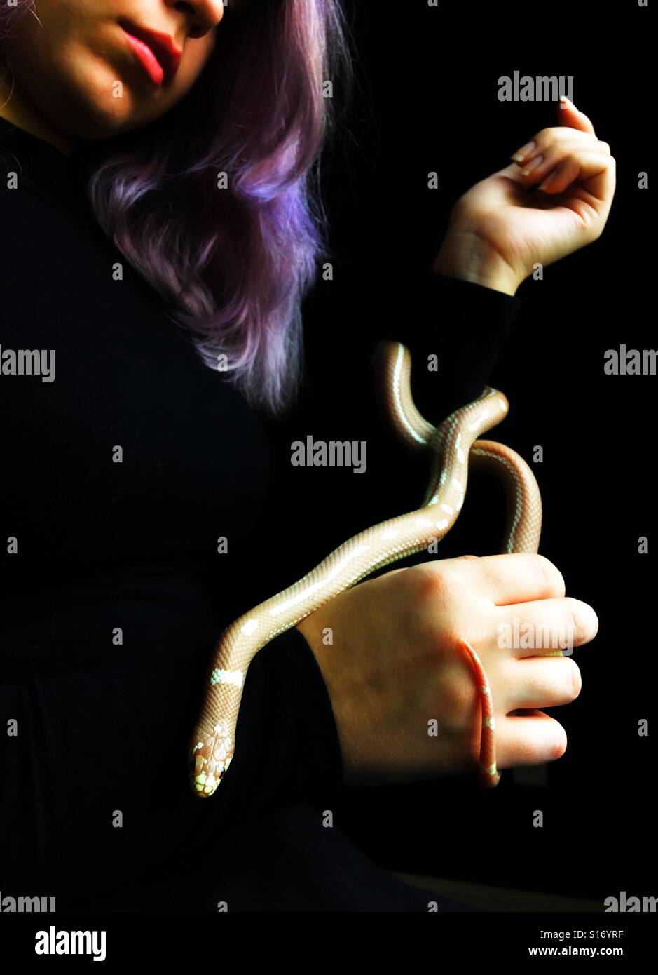 Holding Snake High Resolution Stock Photography and Images - Alamy