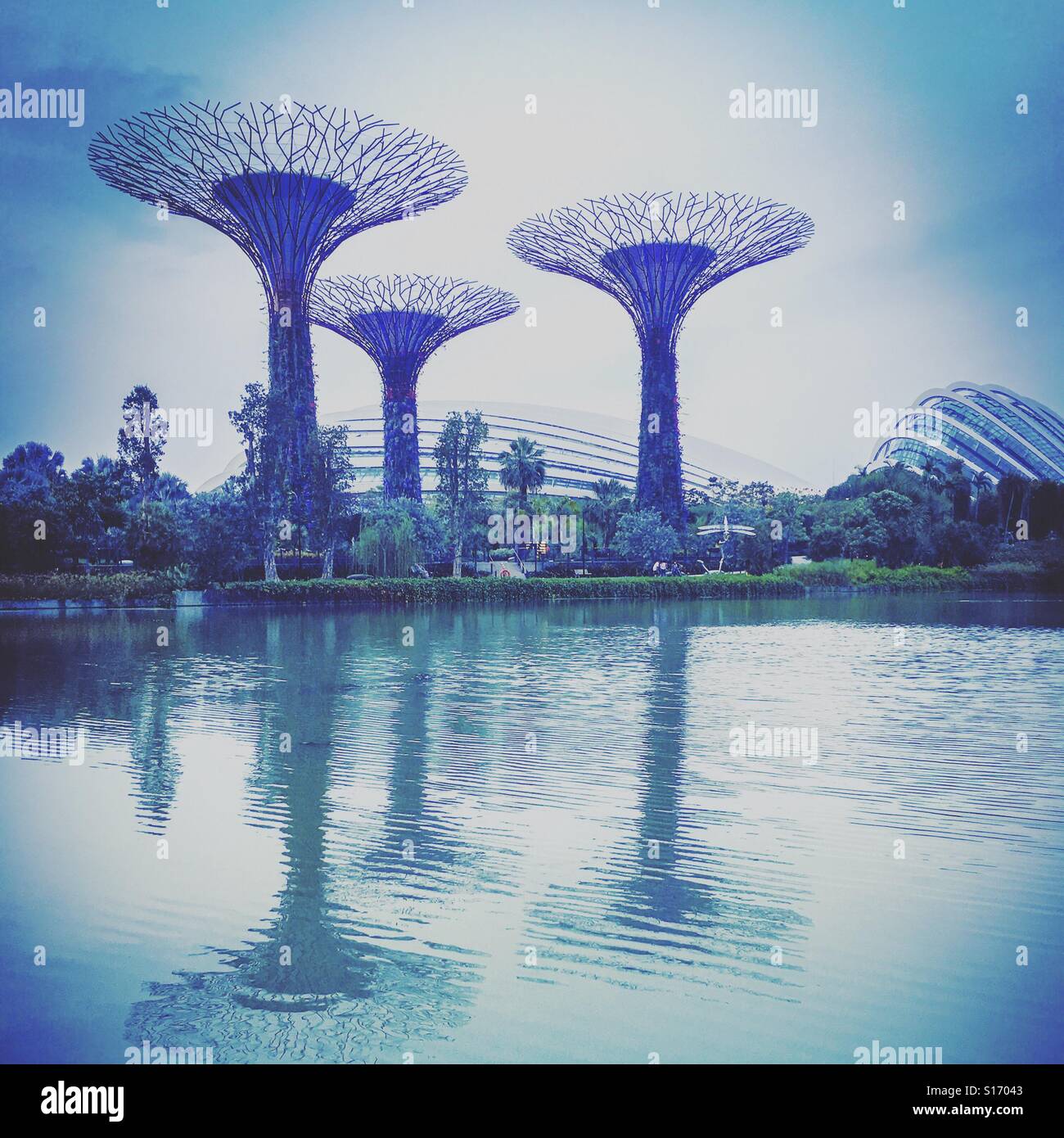 Marina bay sans Singapore park tree structures Stock Photo - Alamy
