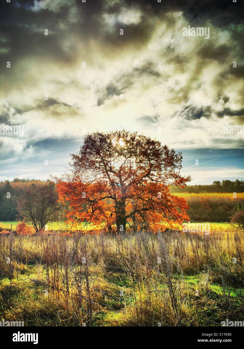 Surmise hi-res stock photography and images - Alamy