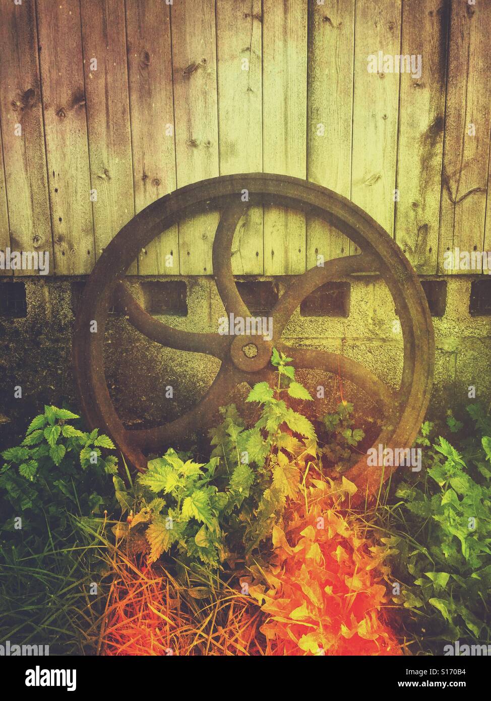 Old rusty machine wheel Stock Photo - Alamy