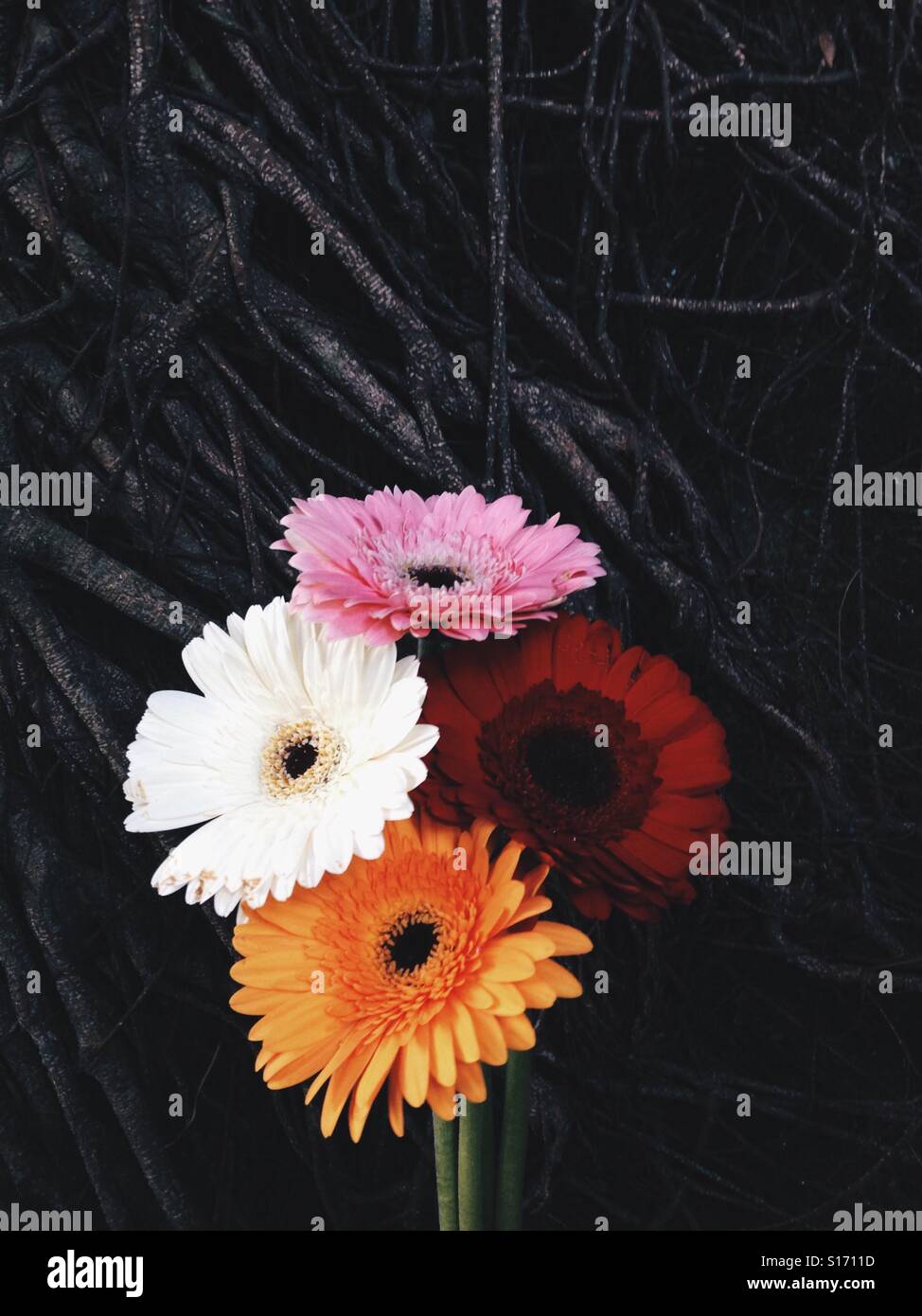 Love and romance with flowers hi-res stock photography and images - Alamy