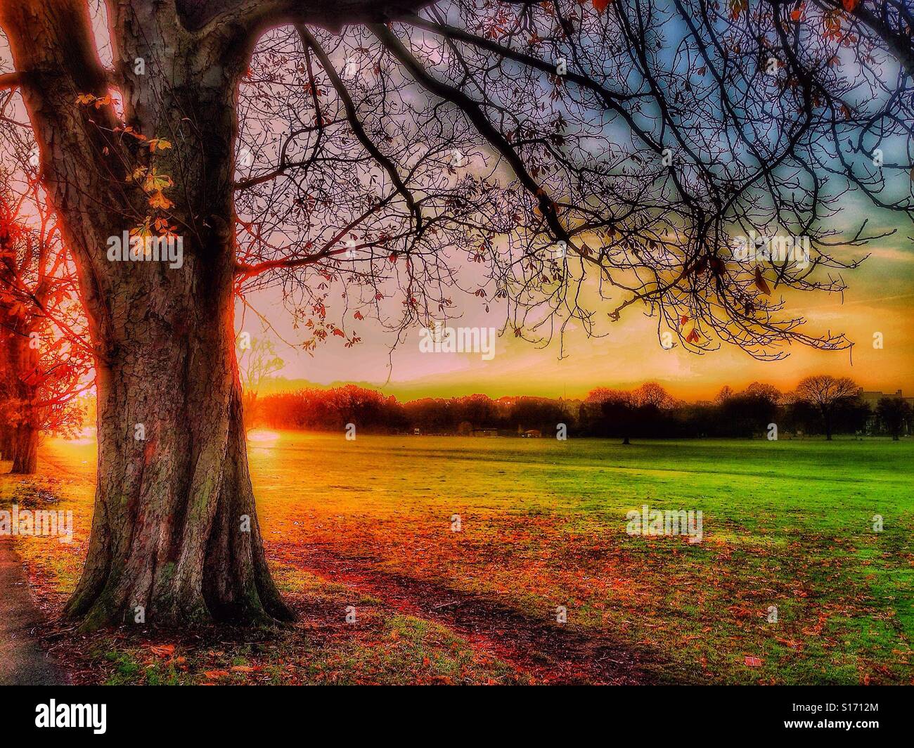 Peckham rye park hi-res stock photography and images - Alamy