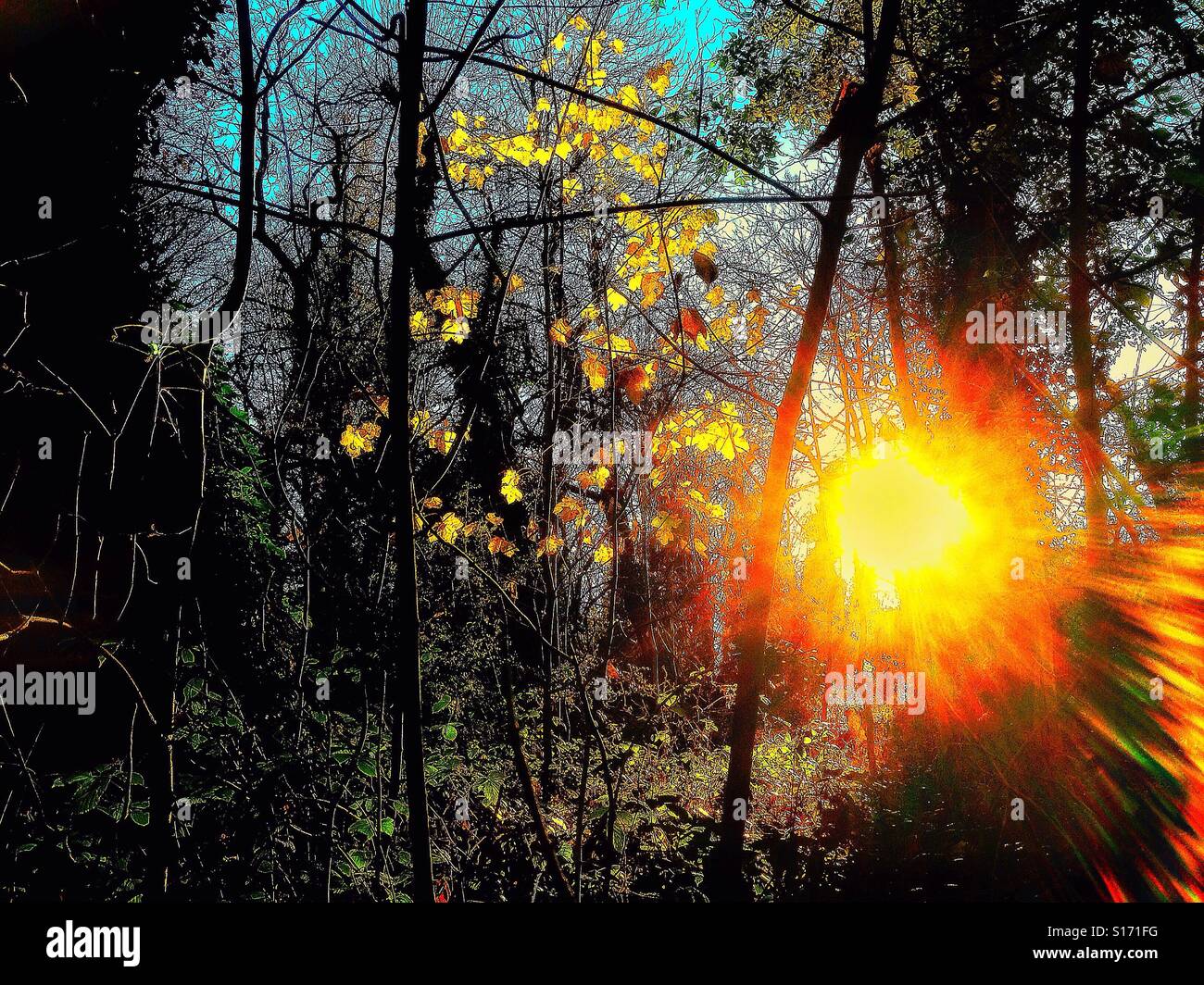 Sunlit sunlight sun sunshine hi-res stock photography and images - Alamy