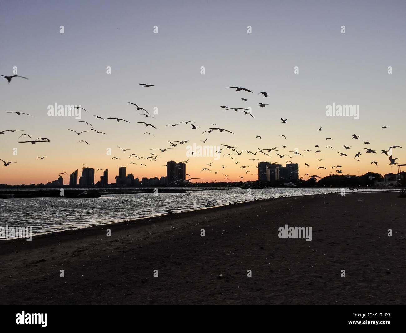 Lakeshore skyline hi-res stock photography and images - Alamy