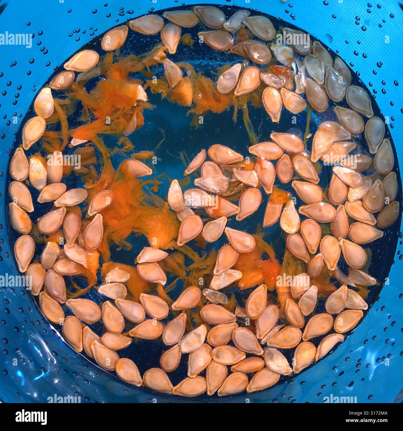 Floating seeds hi-res stock photography and images - Alamy