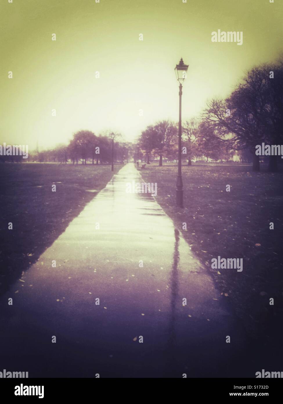 Wet path hi-res stock photography and images - Alamy