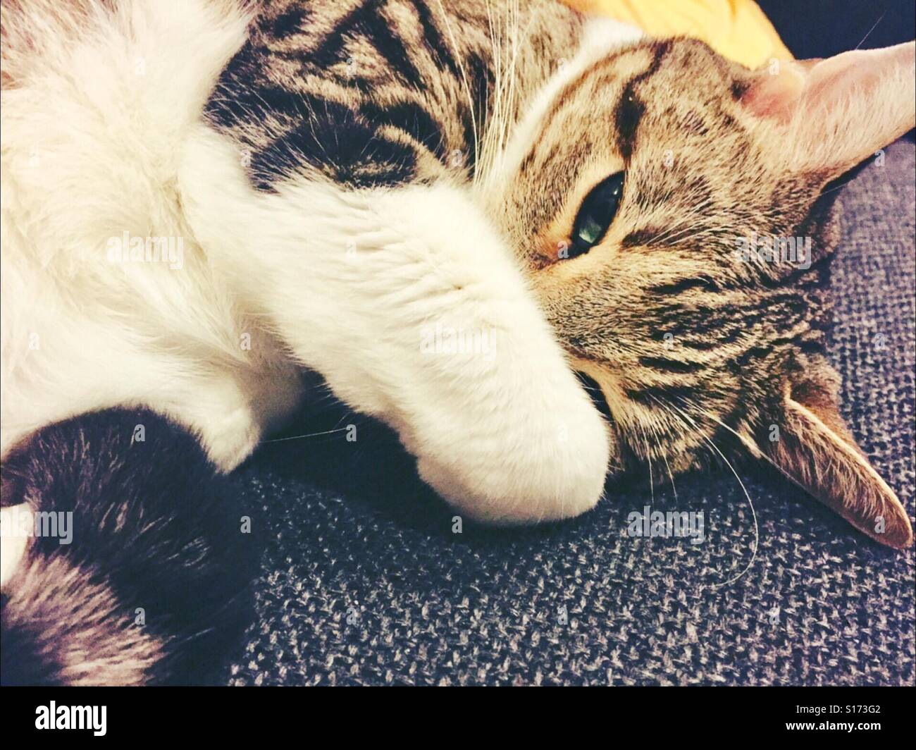 Pick a boo hi-res stock photography and images - Alamy