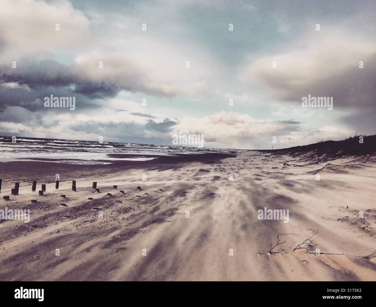 Windy beach hi-res stock photography and images - Alamy