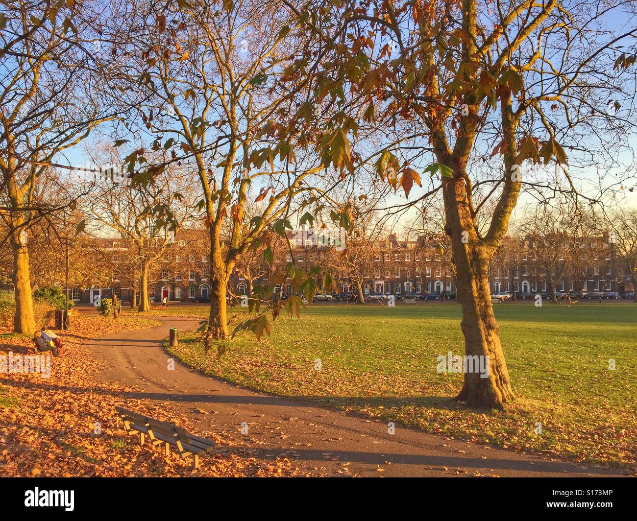 Pathway through Highbury Fields on a sunny autumn afternoon looking at ...