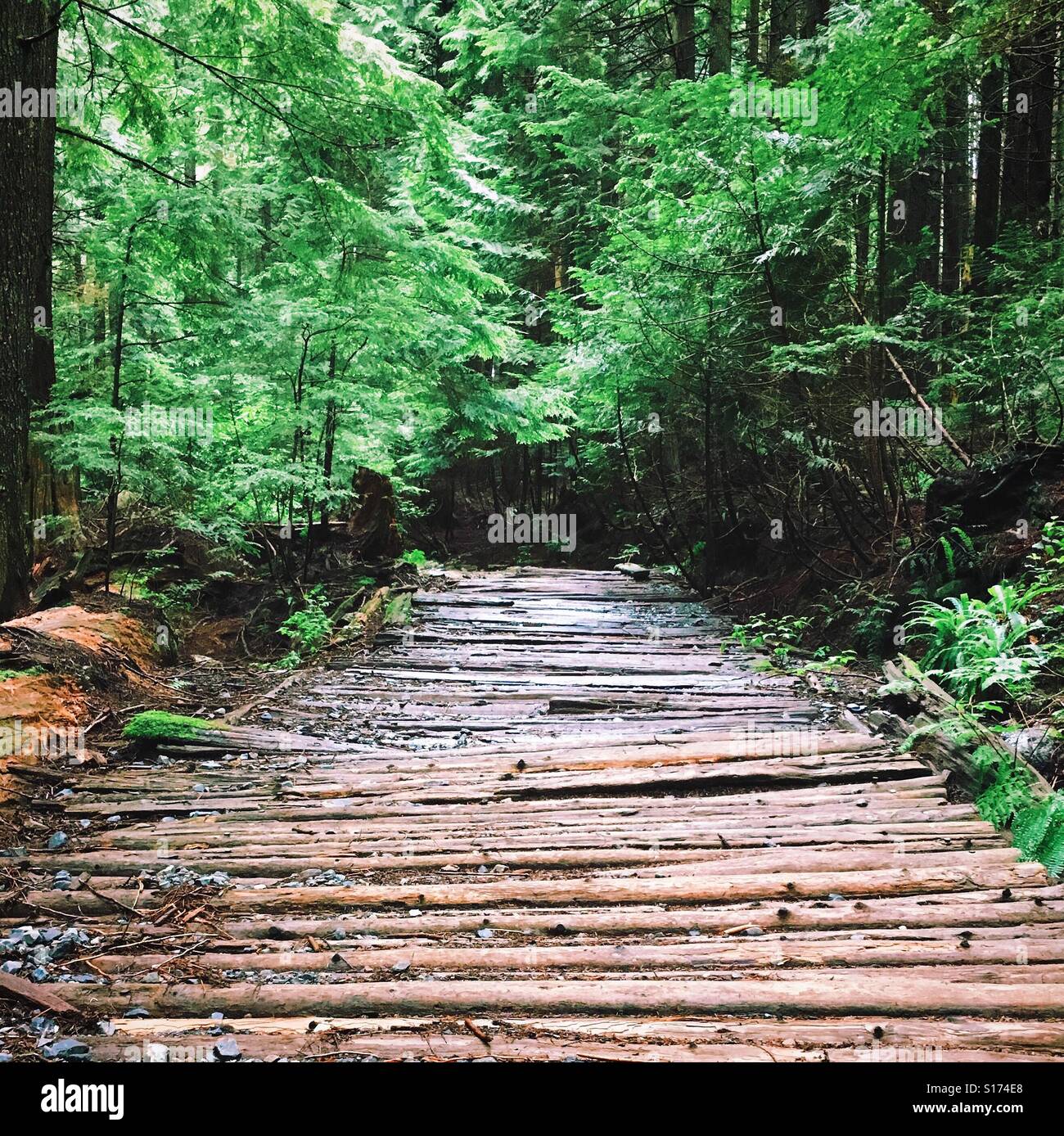 Logging road vancouver hi-res stock photography and images - Alamy