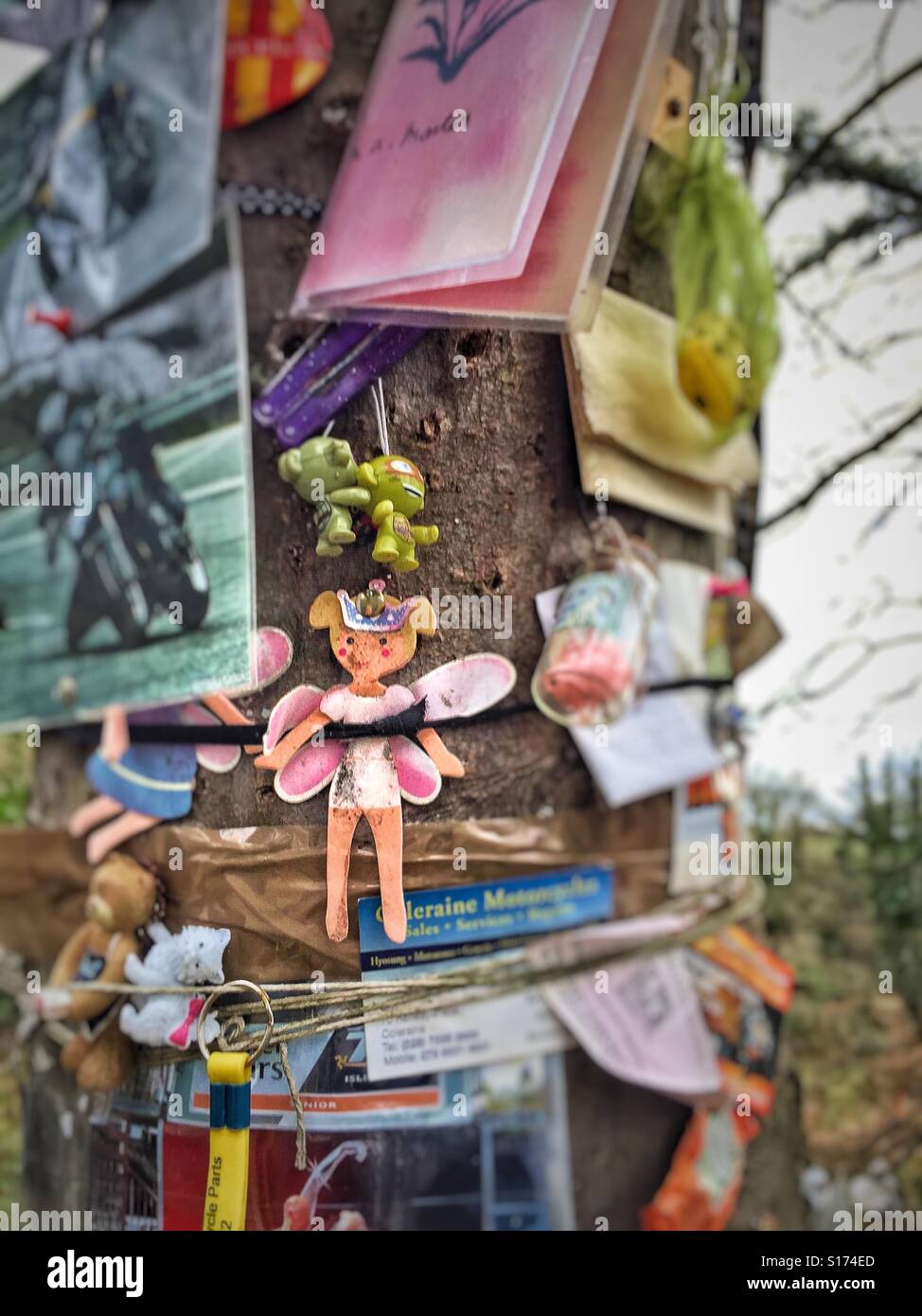 Fairy Tree Wishes High Resolution Stock Photography and Images - Alamy