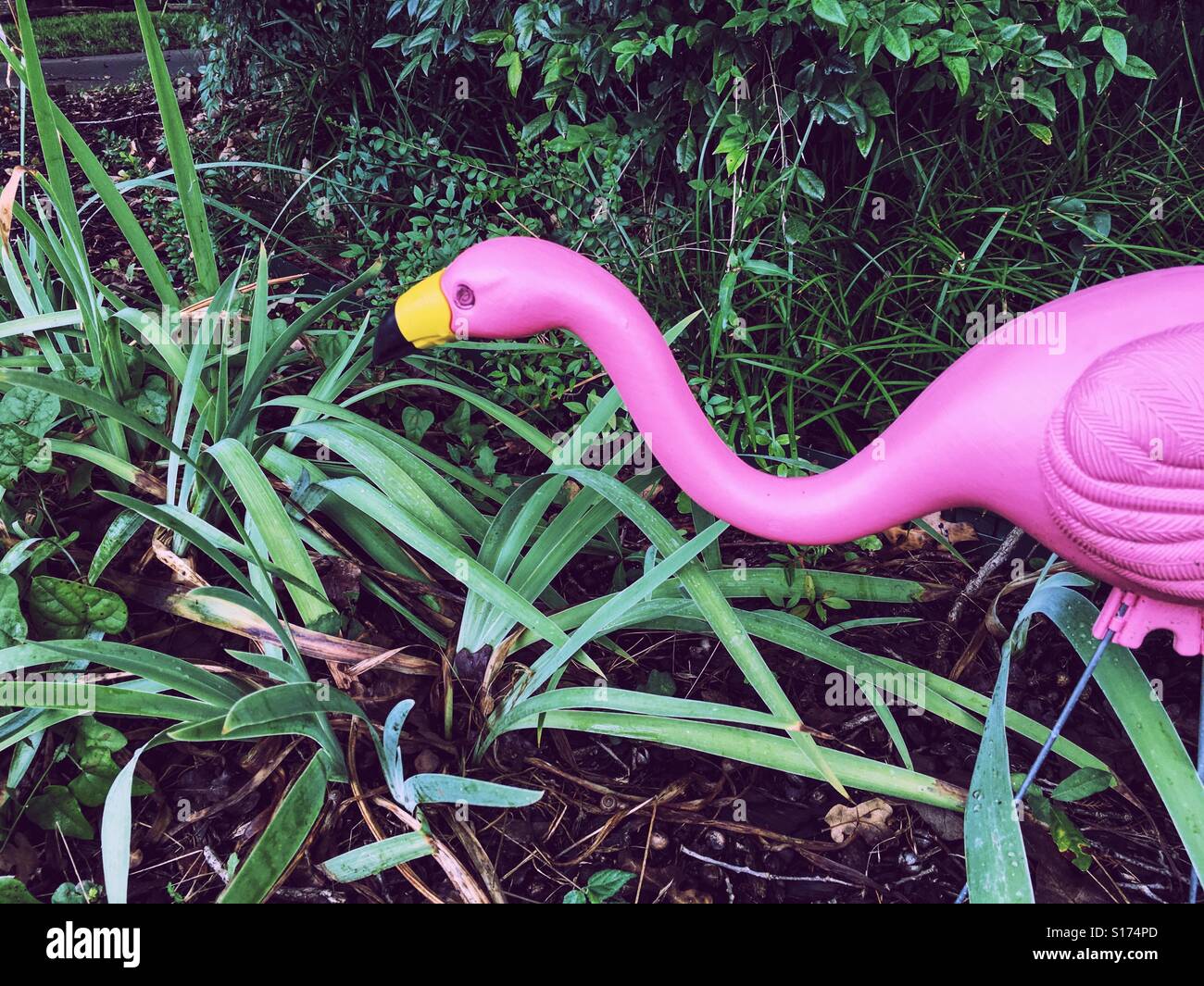 Fake greenery hi-res stock photography and images - Alamy